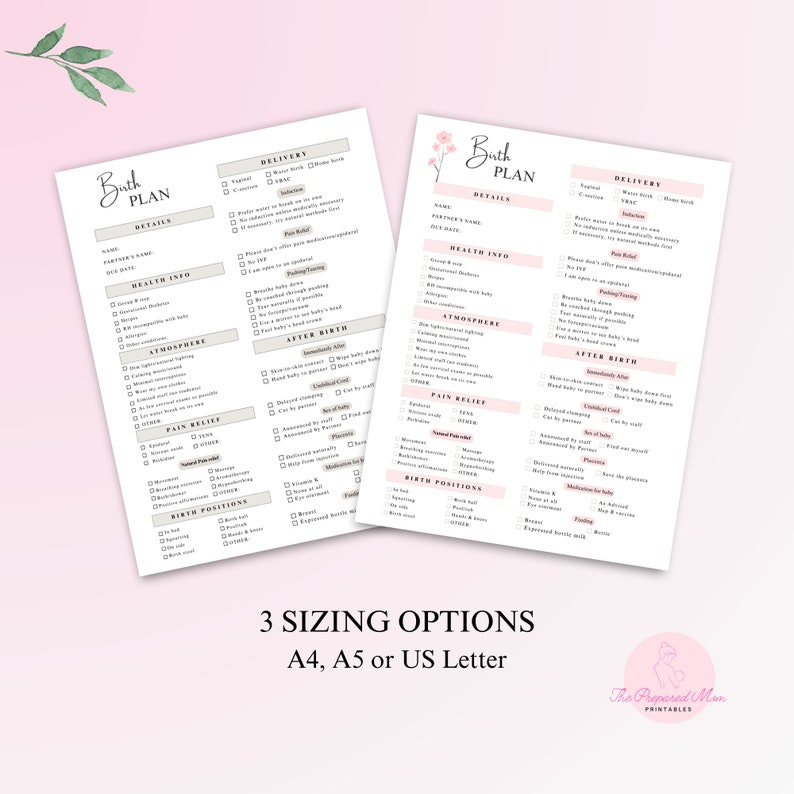 Editable Birth Plan Template, Simple Printable Canva Birth Plan, Visual ...