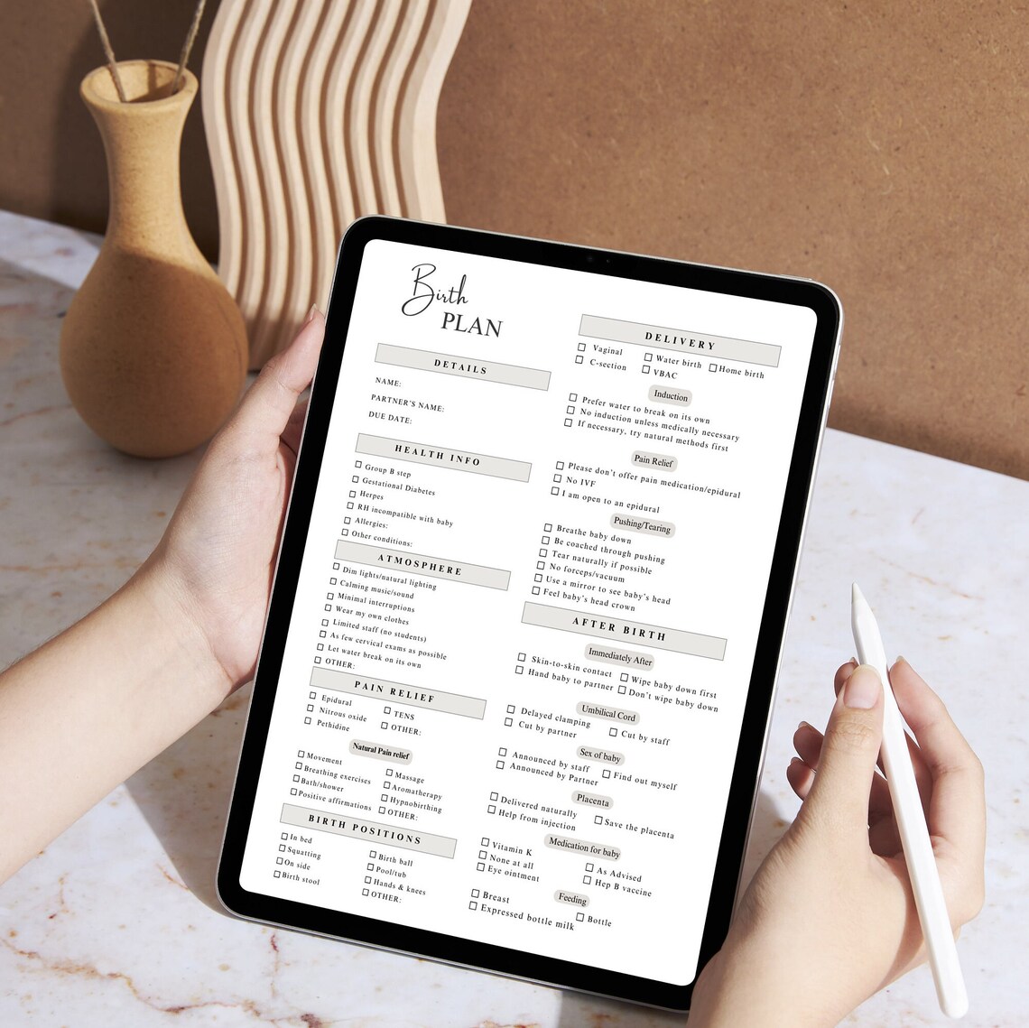 Editable Birth Plan Template, Simple Printable Canva Birth Plan, Visual ...