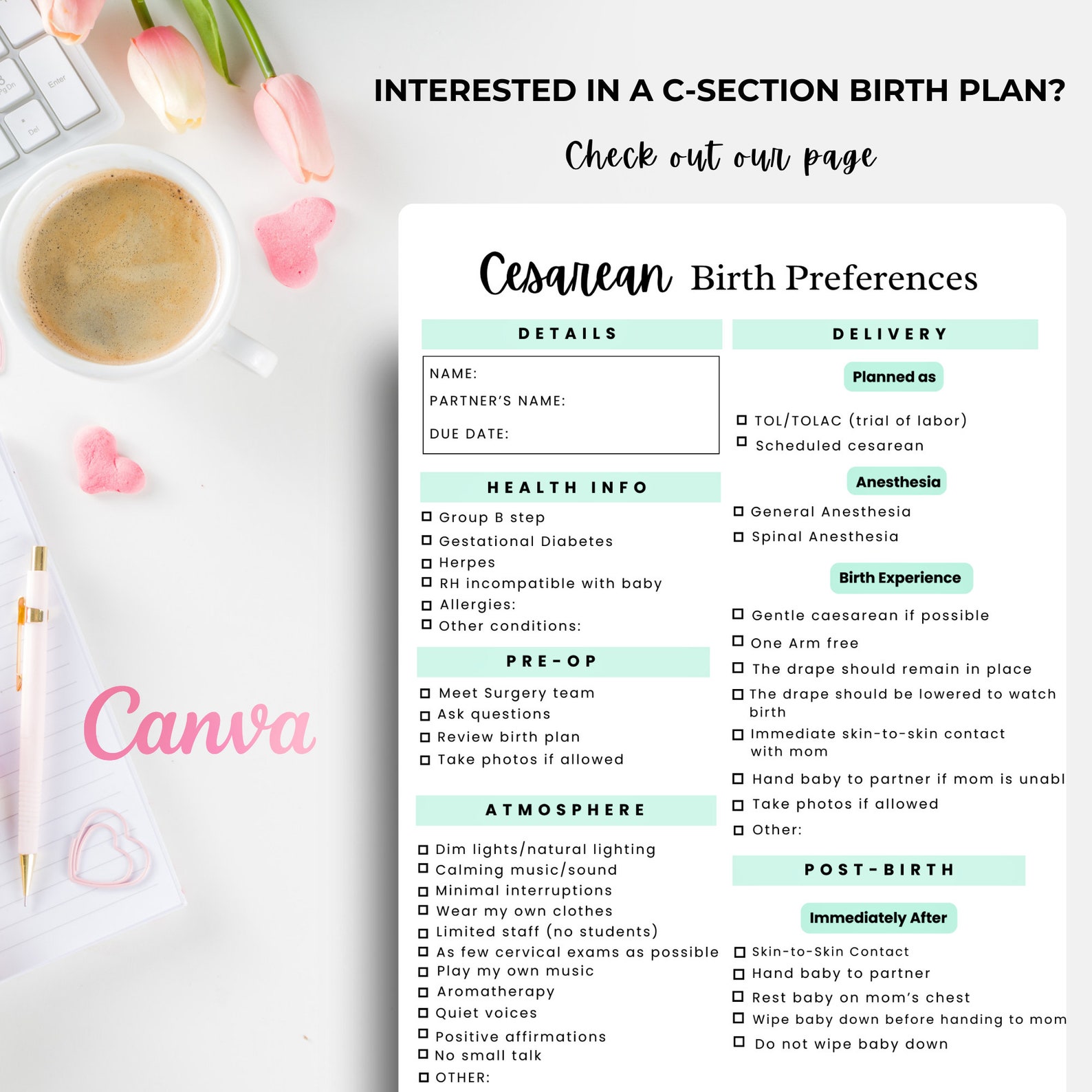 Simple Home Birth Plan Template, Editable Pastel Visual Birth Plan ...