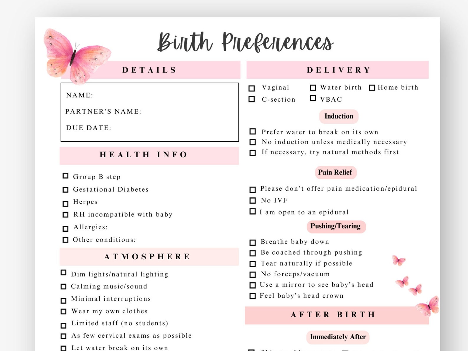 Editable Birth Plan Template | Visual Simple Pastel Birth Planner ...