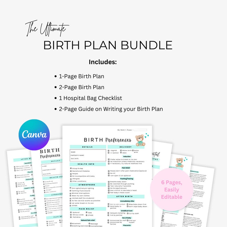 Teddy Bear Birth Plan Template Bundle, Hospital Bag Checklist, Editable ...
