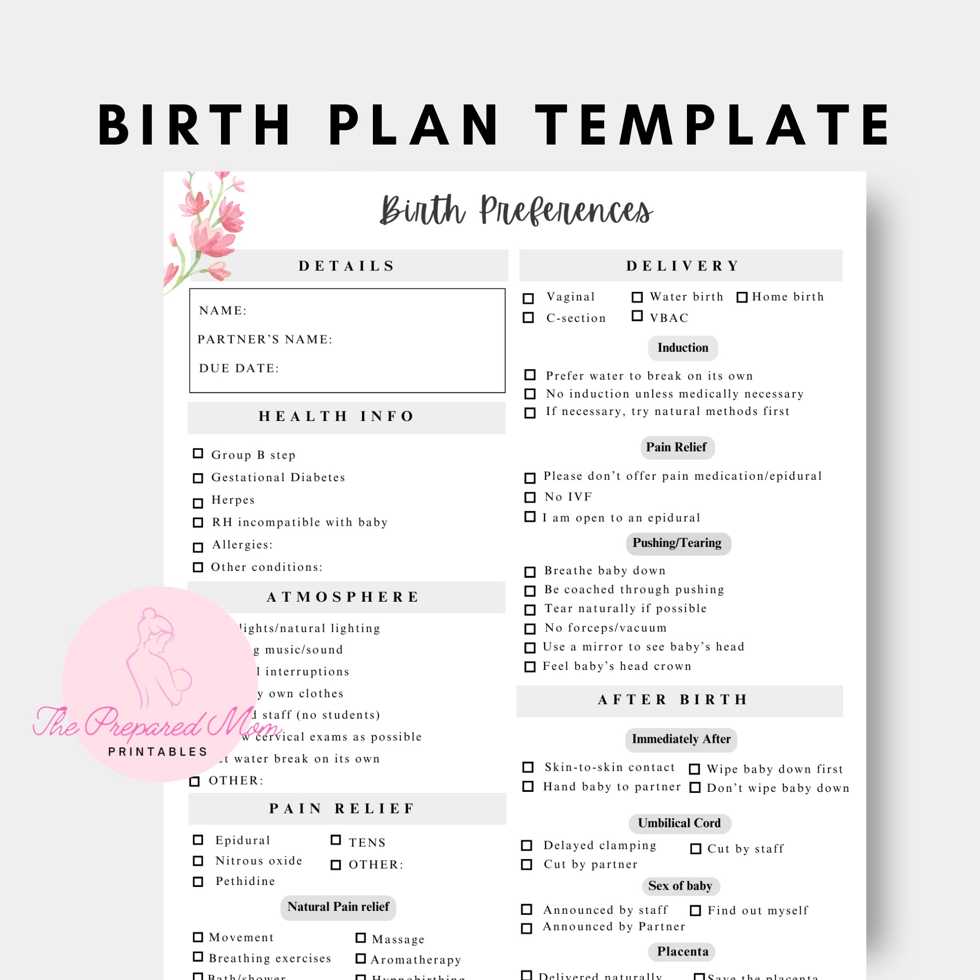 Editable Birth Plan Template Doula Printable Word Birth Plan Template ...