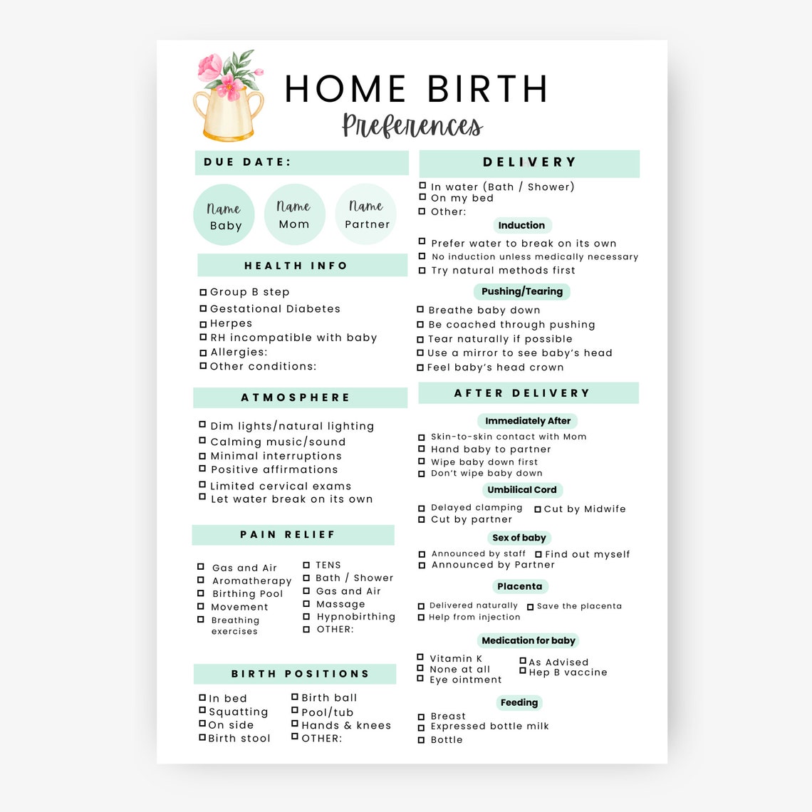 Simple Home Birth Plan Template, Editable Pastel Visual Birth Plan ...