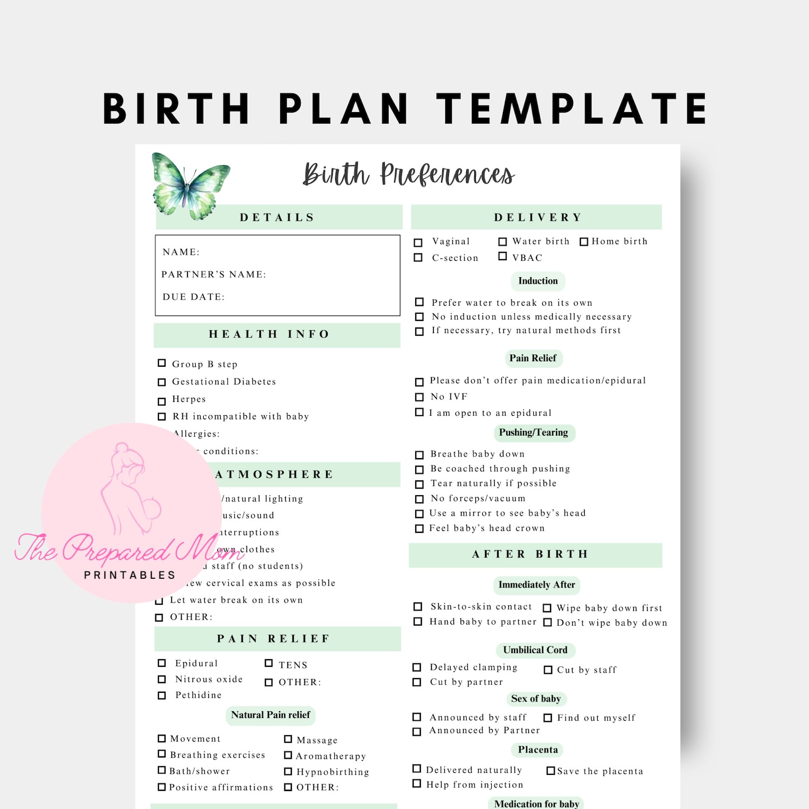 Simple Editable Birth Plan Template | Doula Pregnancy Printable |pastel ...