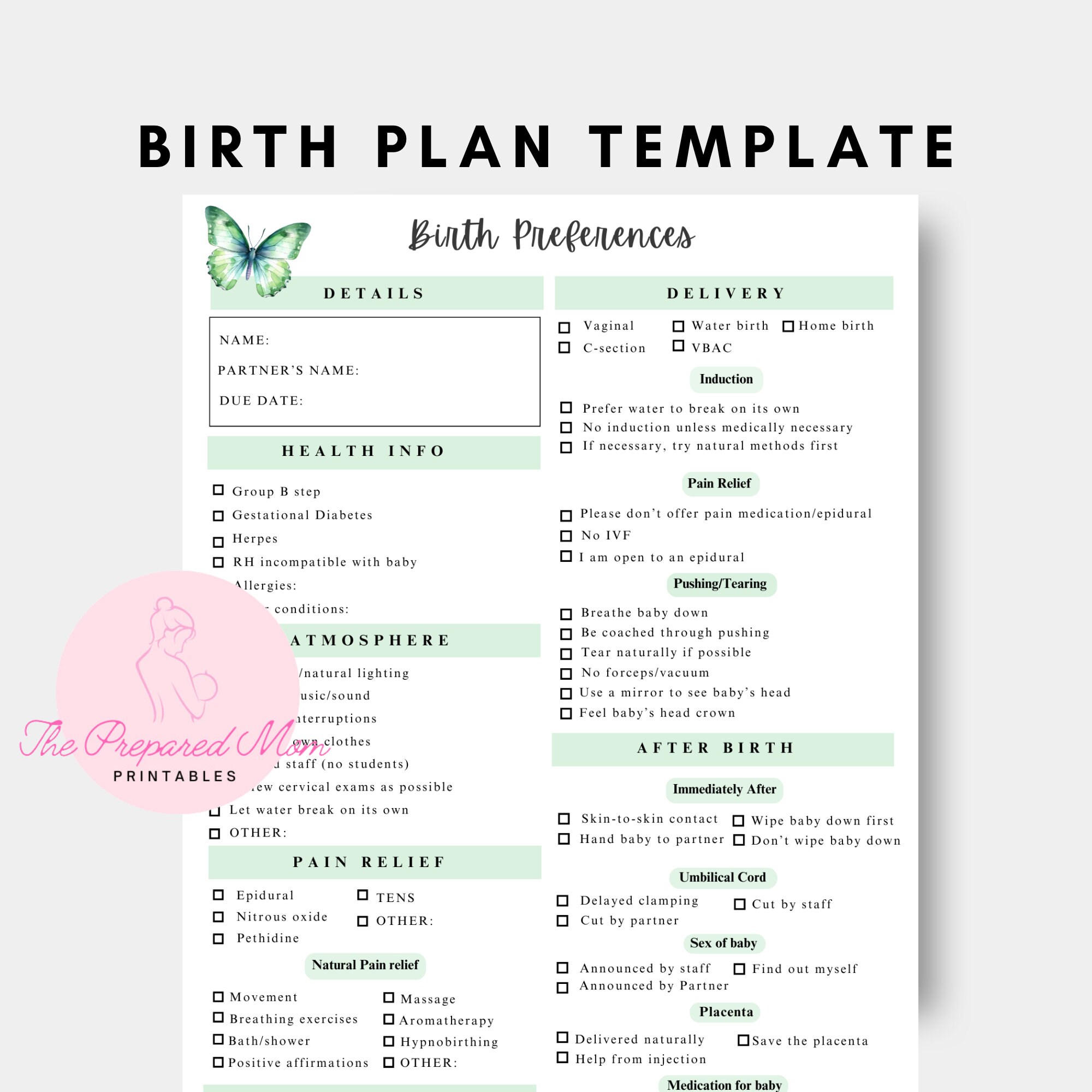 Simple Editable Birth Plan Template | Doula Pregnancy Printable |pastel ...