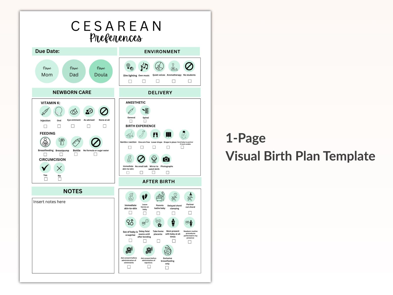 Visual C-section Birth Plan Template | Simple Doula Handout | Expectant ...