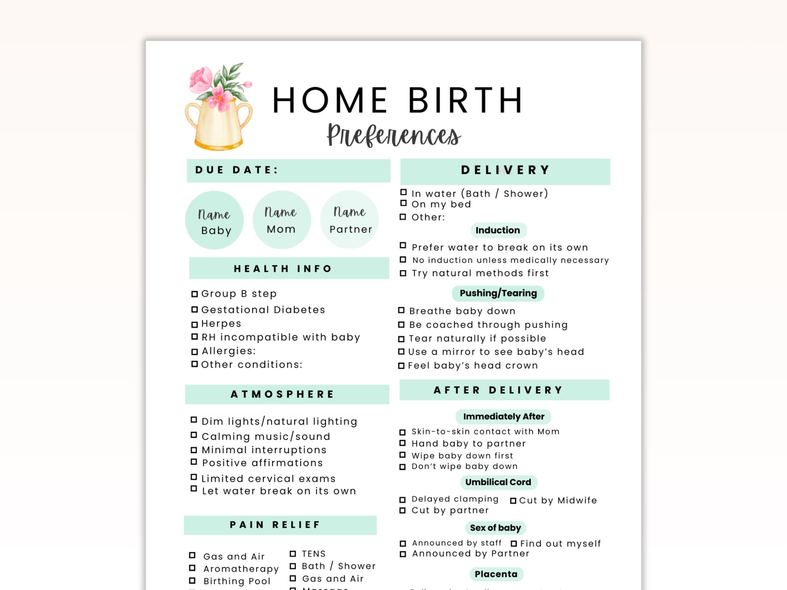 Simple Home Birth Plan Template, Editable Pastel Visual Birth Plan ...