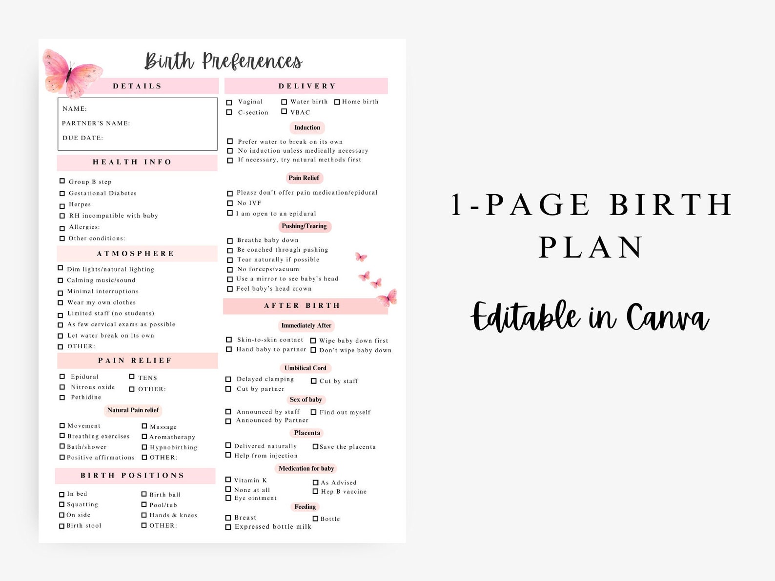 Editable Birth Plan Template | Visual Simple Pastel Birth Planner ...