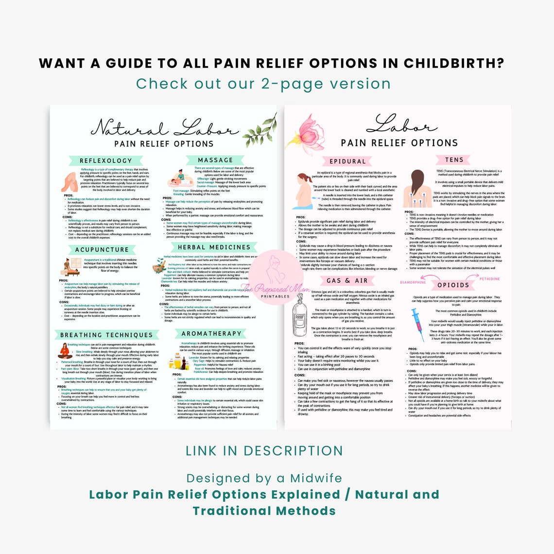 Simple Home Birth Plan Template, Editable Pastel Visual Birth Plan ...