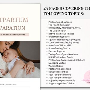 Postpartum Essentials Guide, New Mom Postnatal Recovery Ebook, Postpartum Care Guide, Prenatal ...