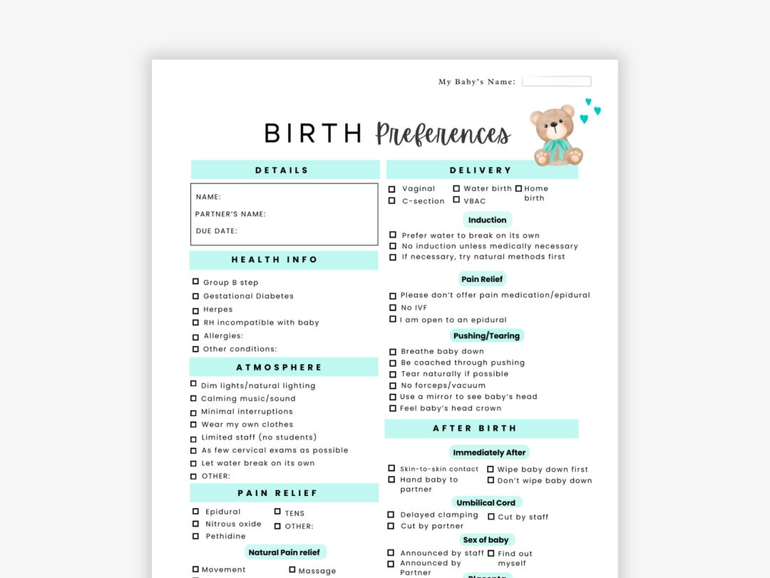Teddy Bear Birth Plan Template Bundle, Hospital Bag Checklist, Editable ...