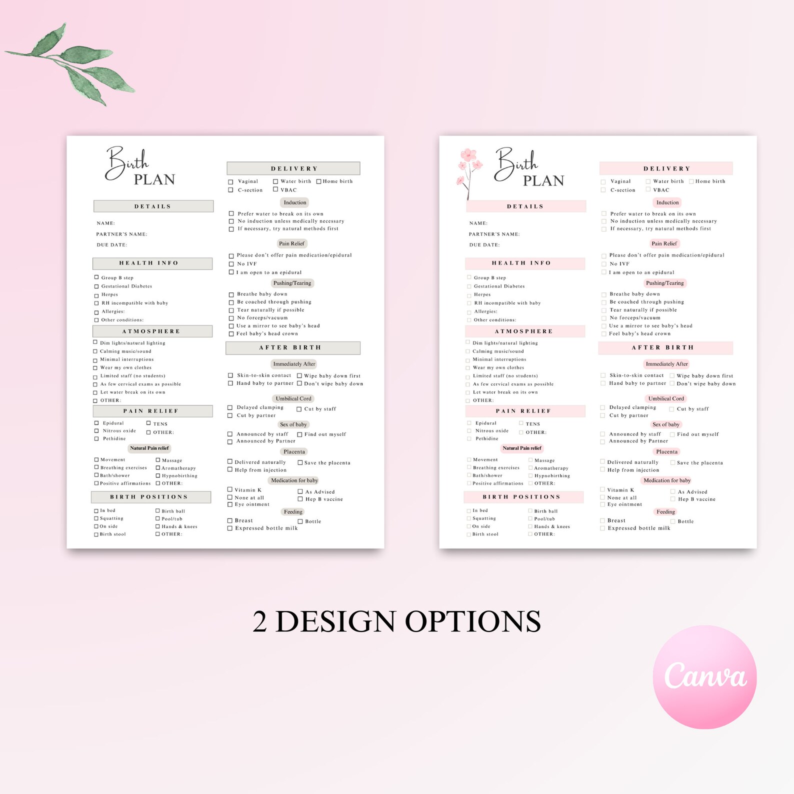 Editable Birth Plan Template, Simple Printable Canva Birth Plan, Visual ...