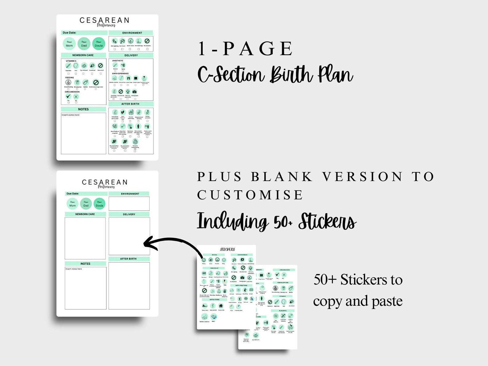 Visual C-section Birth Plan Template | Simple Doula Handout | Expectant ...