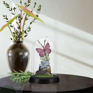 REAL - African Butterfly Diorama -6X4 Inch Dome Diorama -crenis ...