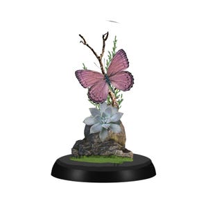 REAL - African Butterfly Diorama -6X4 Inch Dome Diorama -crenis ...
