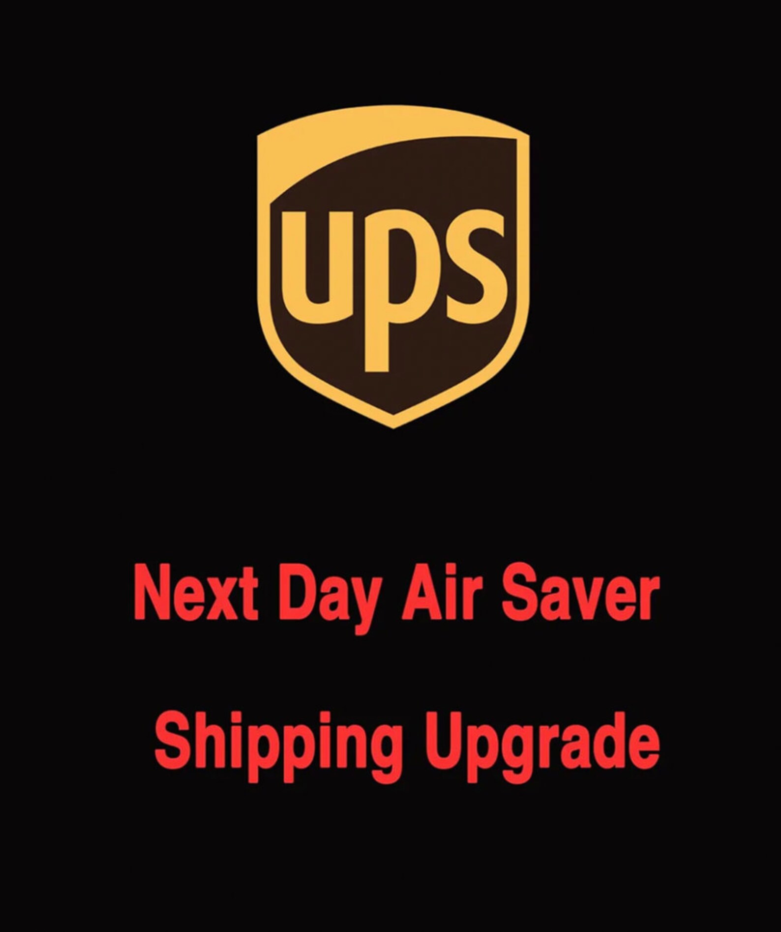 UPS Next Day Air Saver Shipping Upgrade - Etsy