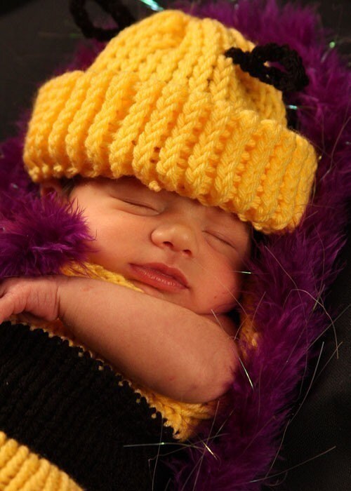 Buzz Baby Bee Newborn Baby Knit Seed Pod Cocoon Plus Hat - Etsy