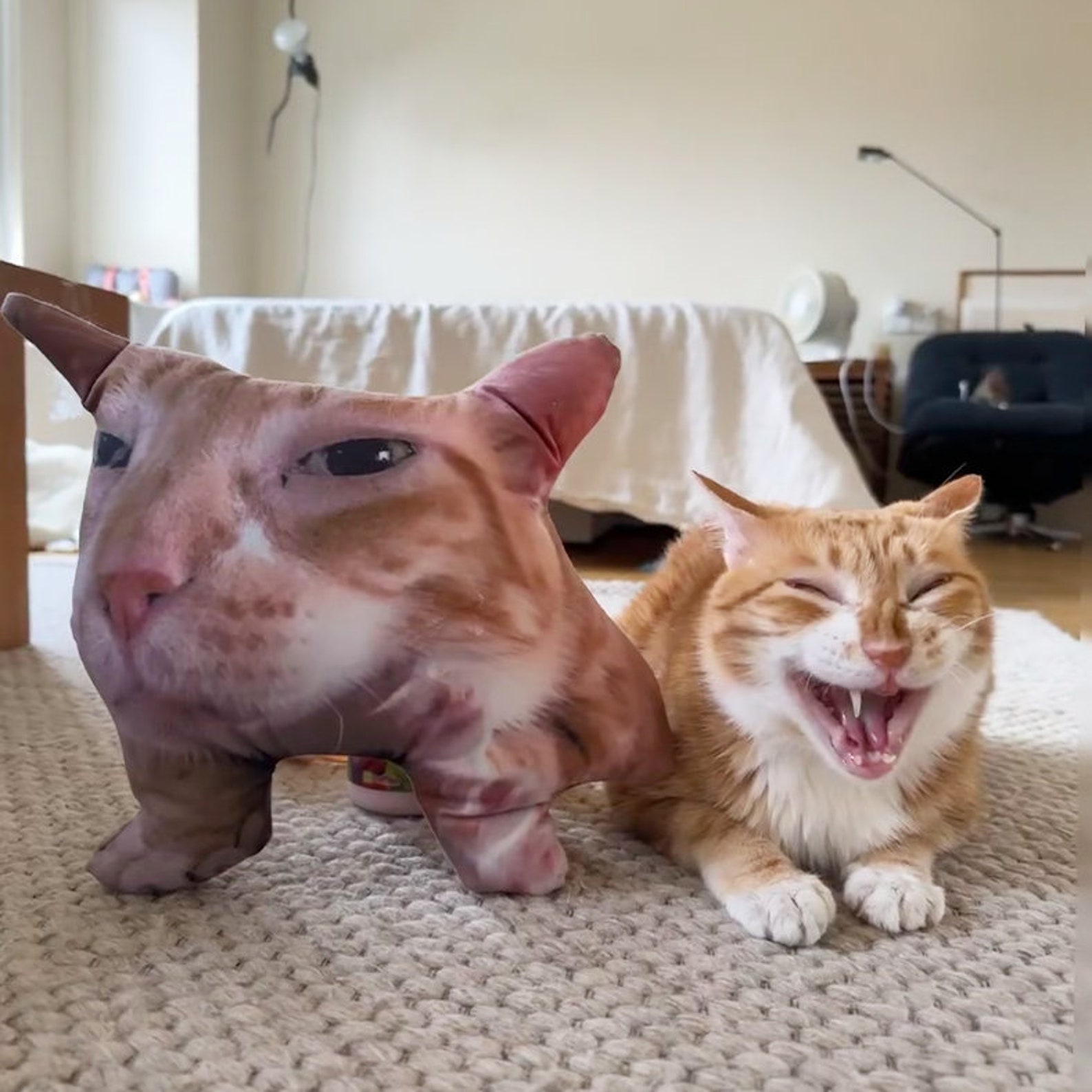 Ugly Pillow, Funny Pet Pillow, Dog Memorial Gift, Cat Memorial Gift ...