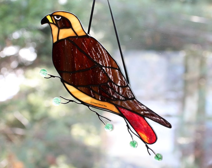 Red Tailed Hawk Glass Suncatcher - Etsy