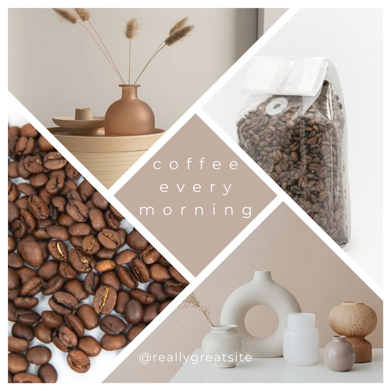 Fresh Arabica Coffee Beans - Perfect Gift Idea! We Offer a Unique Whole ...