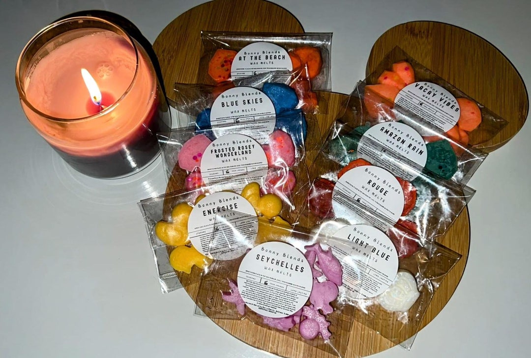 Tester Wax Melts Explore a World of Scents - Etsy