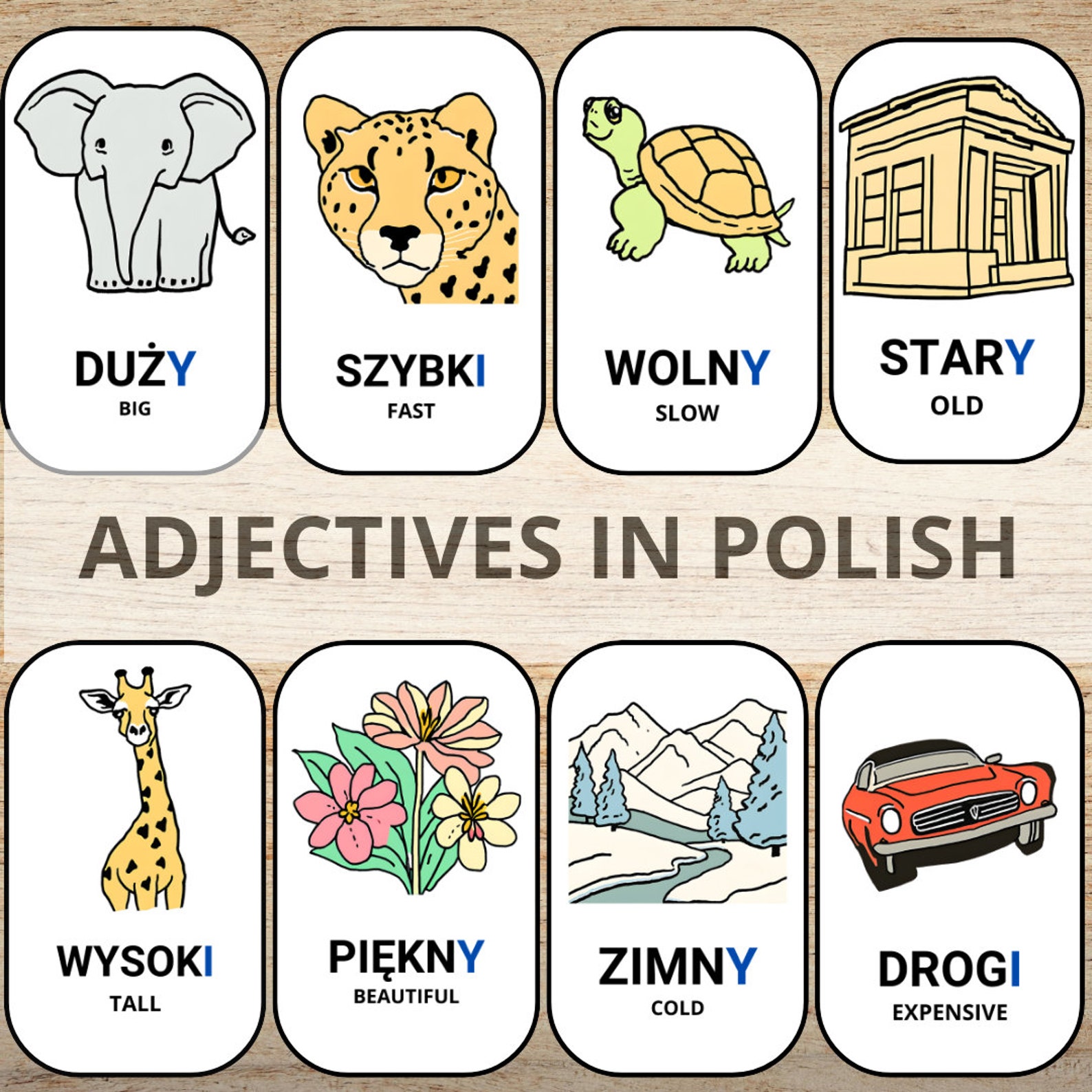 20 Polish Adjectives Polish-english Flashcards - Etsy