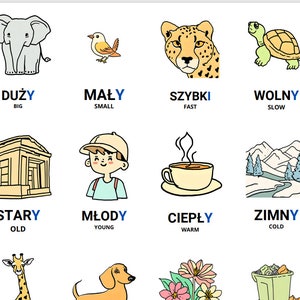 20 Polish Adjectives Polish-english Flashcards - Etsy