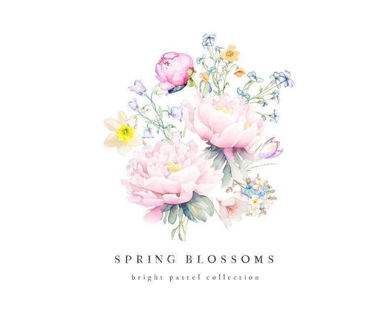 Watercolor Spring Floral Clipart: Peony, Lilac, Daffodil (PNG Digital ...