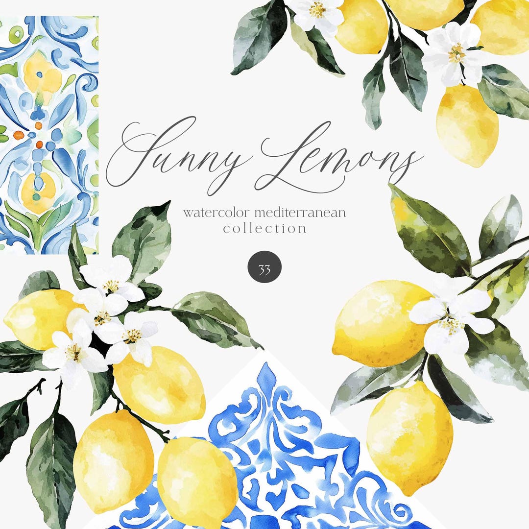 Watercolor Lemon Clipart: Mediterranean Fruit & Blossom (digital ...