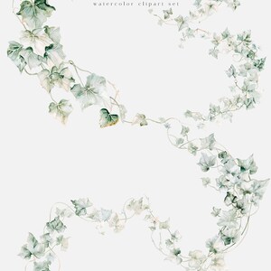 Watercolor Ivy Clipart: Greenery Vines, Twigs (digital Download) - Etsy