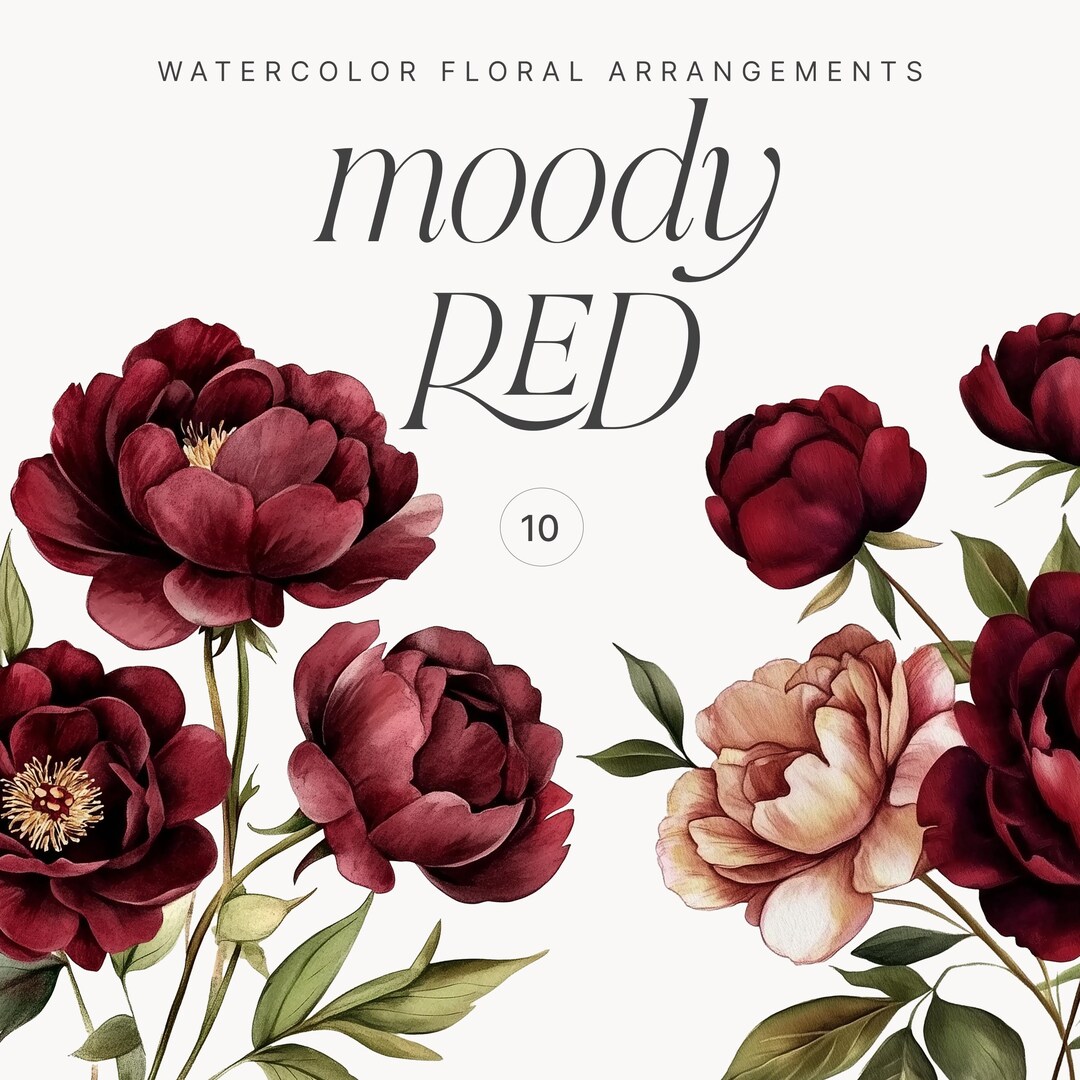 Watercolor Burgundy Peony Bouquet Clipart: Deep Red Florals (PNG) - Etsy