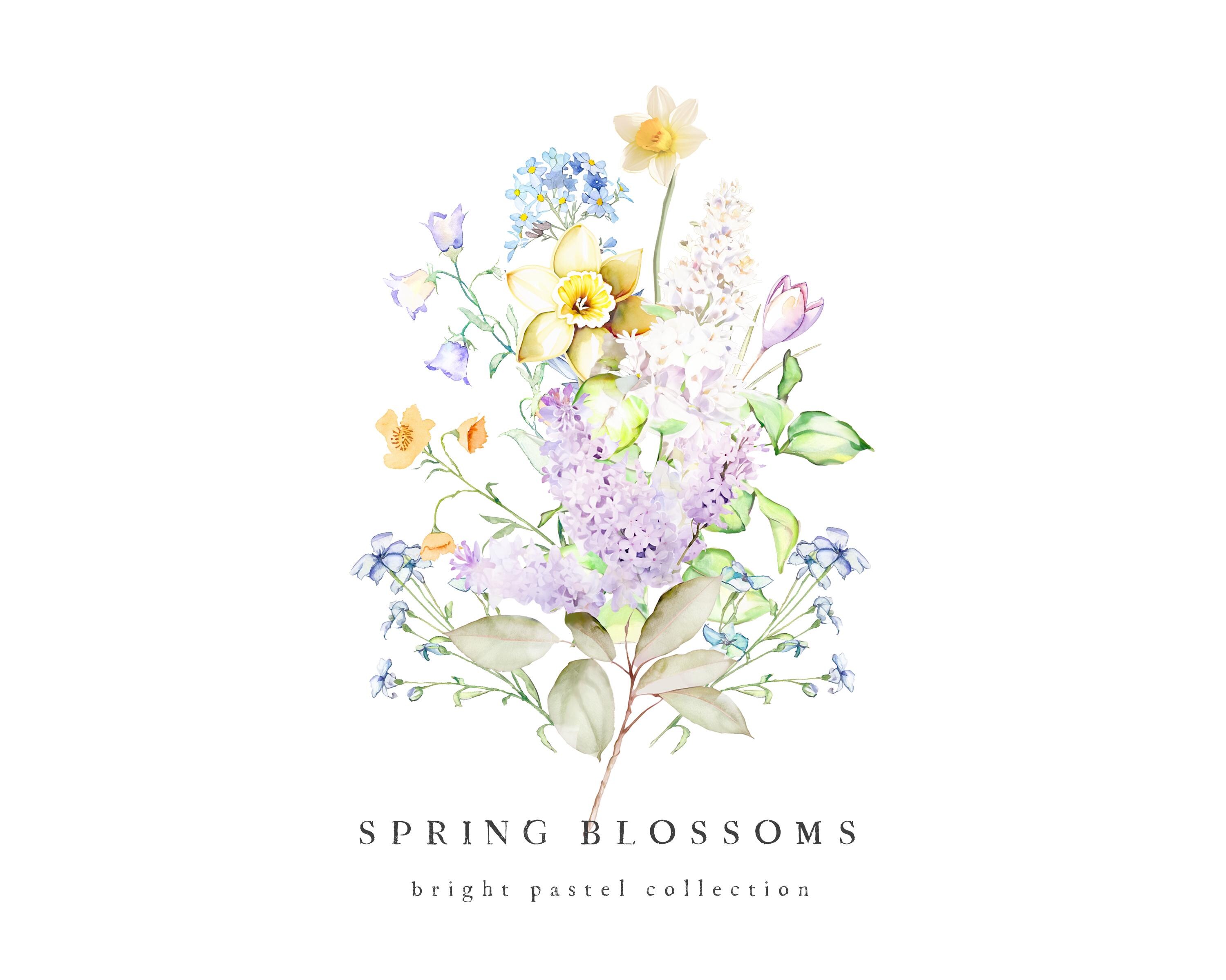 Watercolor Spring Floral Clipart: Peony, Lilac, Daffodil (PNG Digital ...