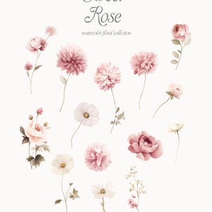 Watercolor Floral Clipart: Blush Pink Rose Bouquet Collection (digital ...