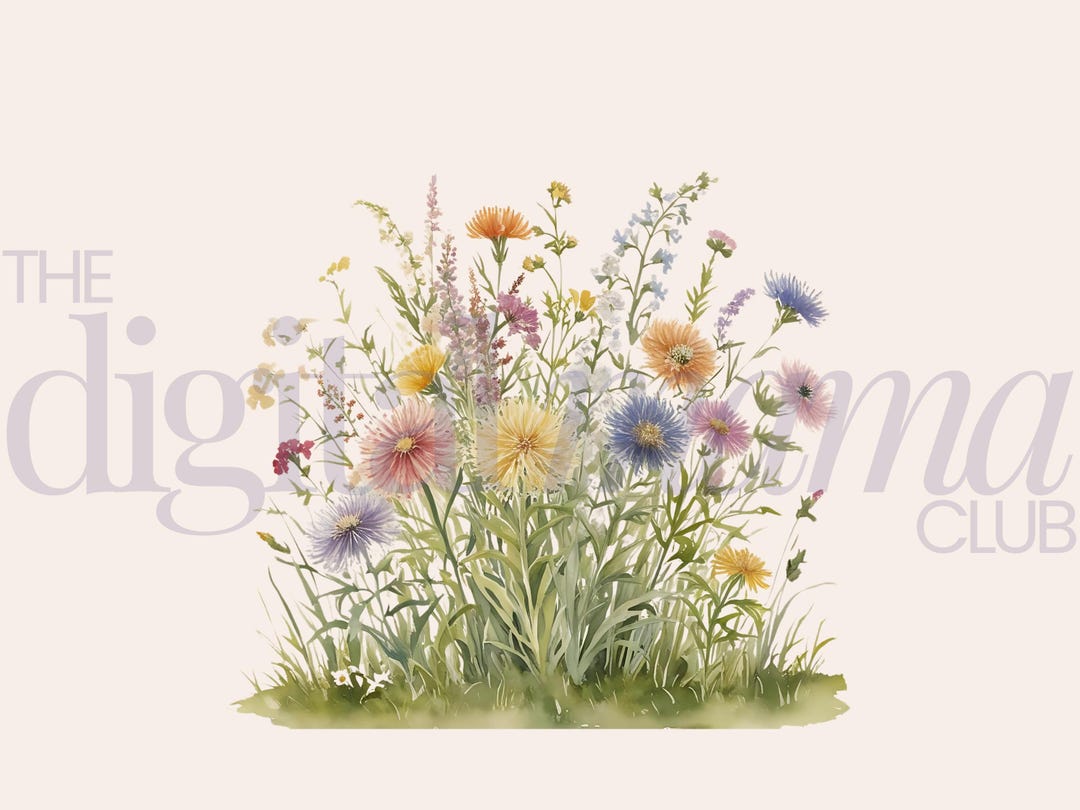 Watercolor Wildflower Clipart: Floral PNG, SVG (digital Download) - Etsy