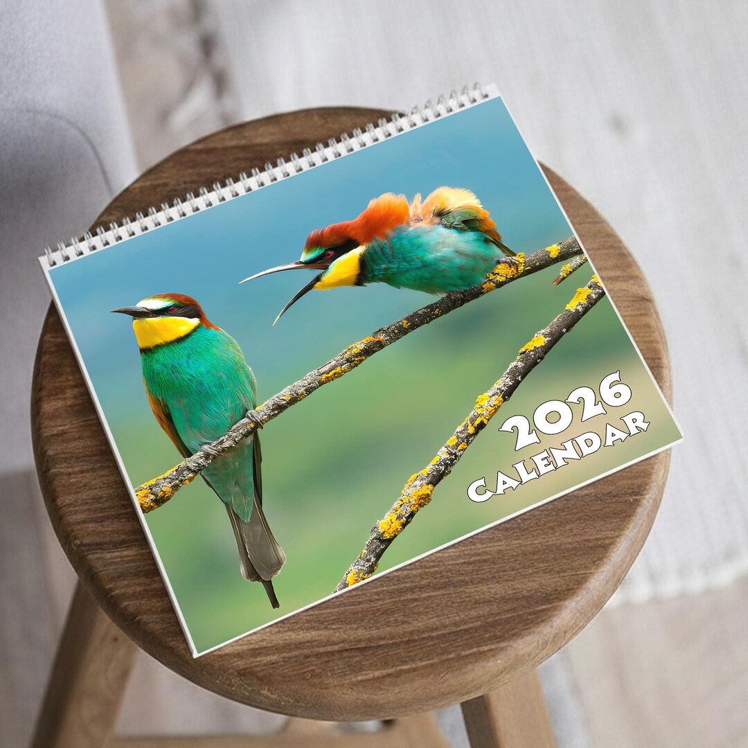 Wildlife Photography Calendar 2026, Funny Animal & Bird Wall Calendar ...