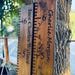Growth Chart Wooden Height Chart Family Ruler Hardwood Nursery Decor ...