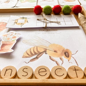 Commercial Use , Kids Early Learning Insect Pack , Resale Plr - Etsy