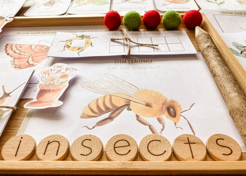 Commercial Use , Kids Early Learning Insect Pack , Resale Plr - Etsy