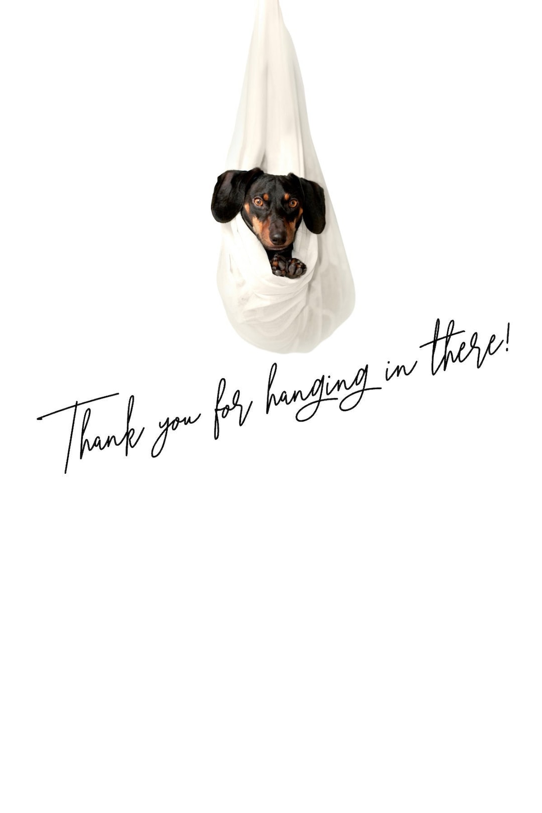 Thank You for Hanging in There Thank You Card - Etsy