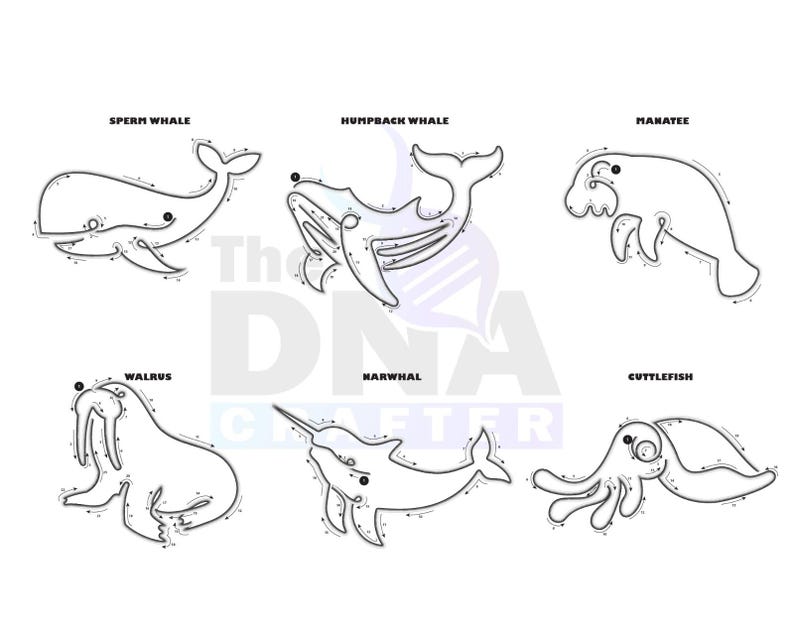 Sea Animals Knitted Wire Art Templates: 30 Designs (PDF) - Etsy Australia