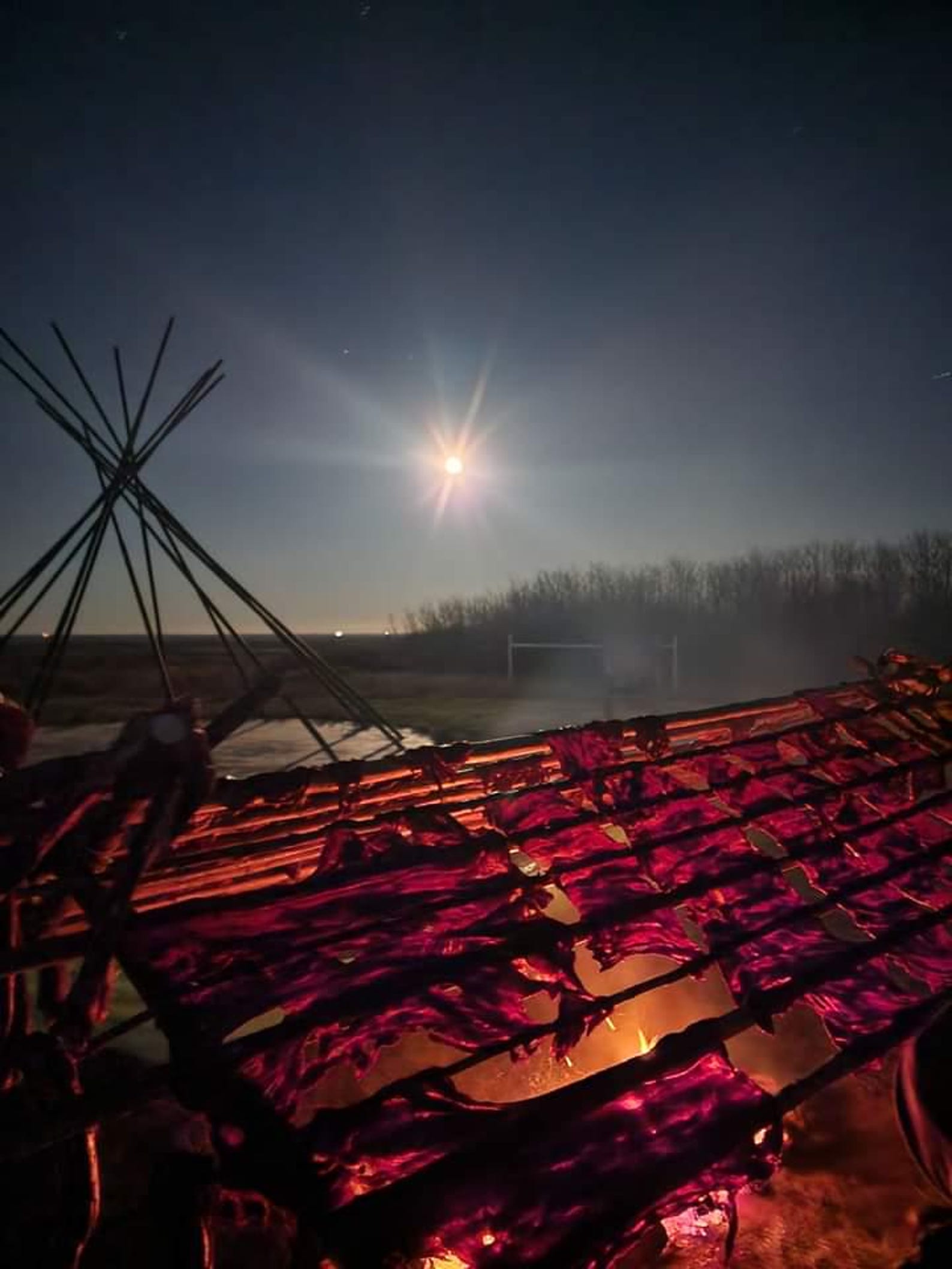 6 HOMEMADE PEMMICAN BARS Pack of Six - Etsy