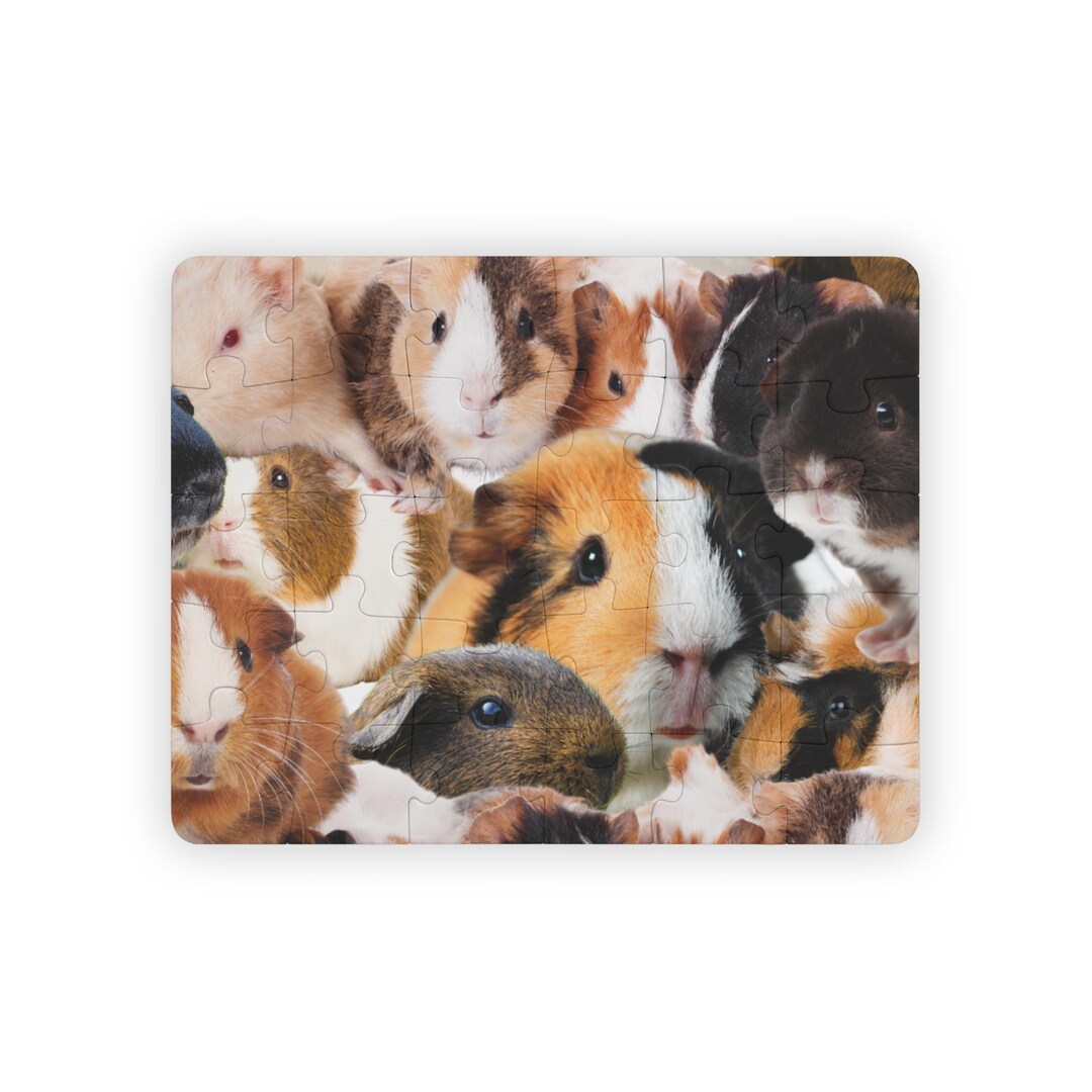 Kids' Puzzle, 30-piece - Guinea Pigs Autism Task Sensory Fine Motor ...