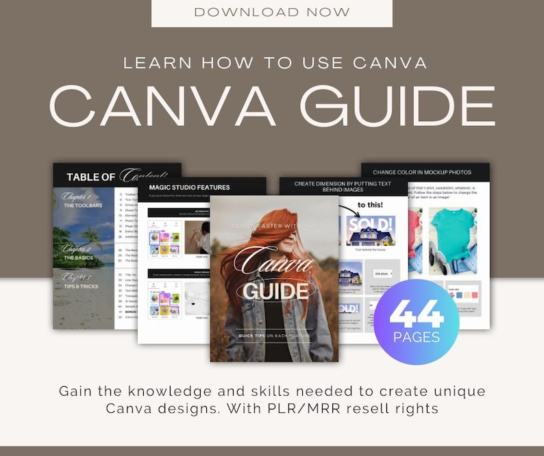 Canva Guide, How to Use Canva: A Beginner's Guide to Teach You Step by ...