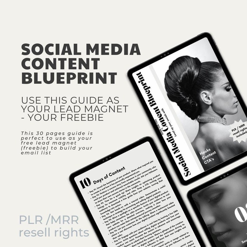 Social Media Content Blueprint, Done for You, With MRR / PLR Resell Rights - Etsy