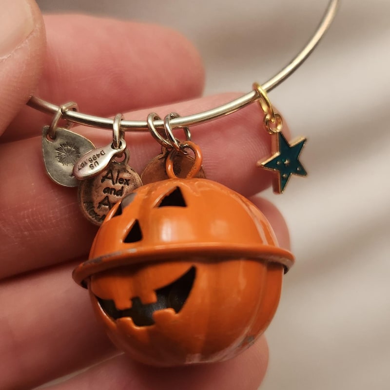 Alex and Ani Friendship - Etsy