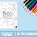 Turtle Papercraft Activity Pack: Cut, Paste & Color (digital Download ...