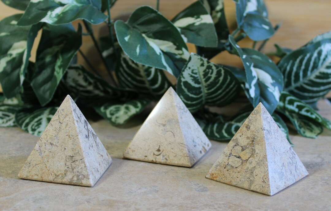 Small Coral Fossil Pyramid Metaphysical Pyramids Gifts for Home Trendy ...
