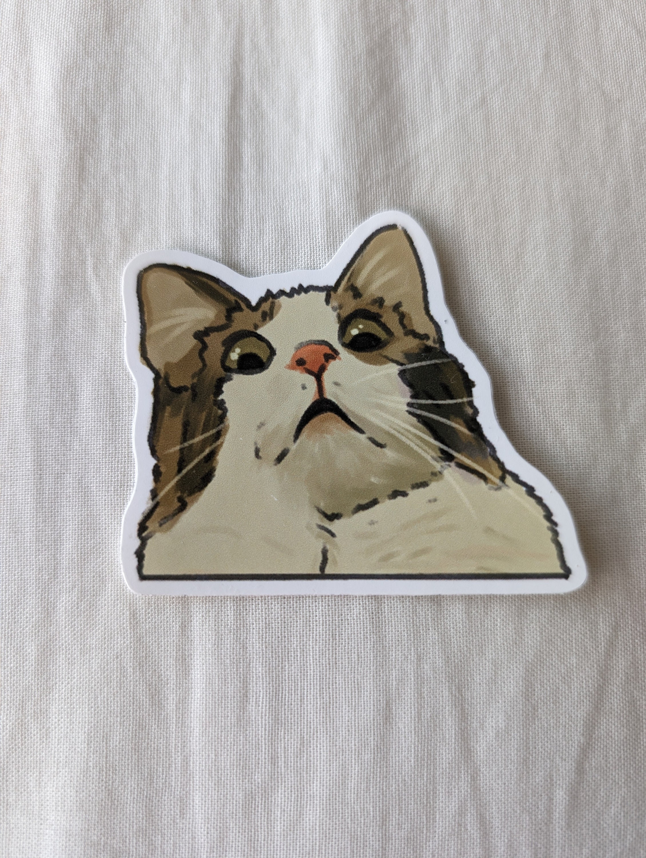 Digital Drawn Meme Cat Stickers (5-stickers Random Pack) - Etsy