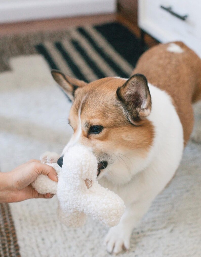 Modern Minimalist DOG TOY Hugs Boucle Plush Toy With Squeaker - Etsy