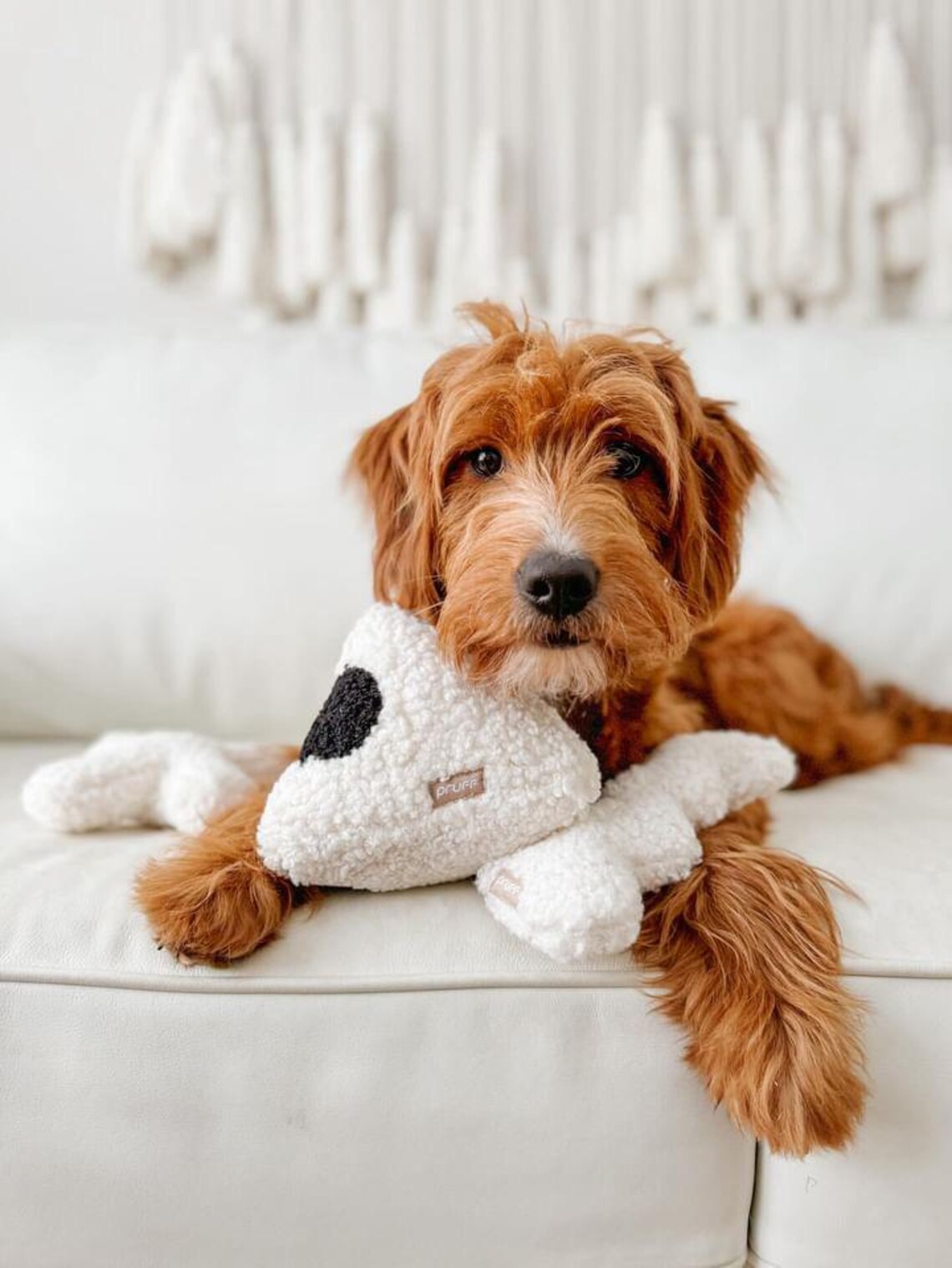 Modern Minimalist DOG TOYS Off-white Boucle Trio Plush Set - Etsy